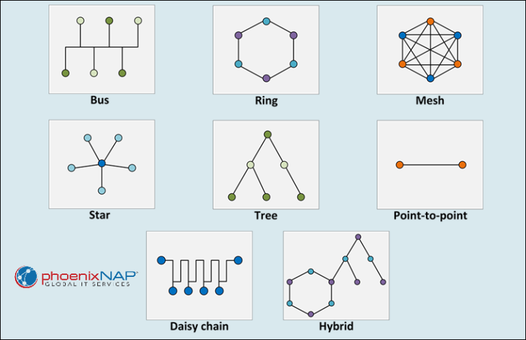 Network Topology Guide: All You Need to Know