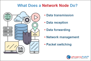 What Is a Network Node?