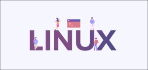 Linux Server Guide: Installation and Configuration