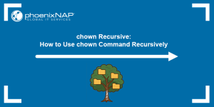 chown Recursive: How to Use chown Command Recursively | Knowledge Base by phoenixNAP
