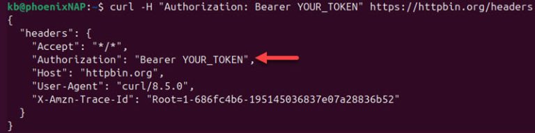 How to Show and Send HTTP Headers with cURL