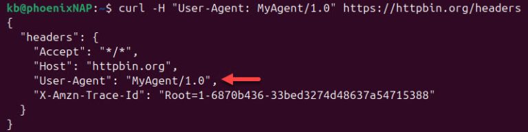How to Show and Send HTTP Headers with cURL