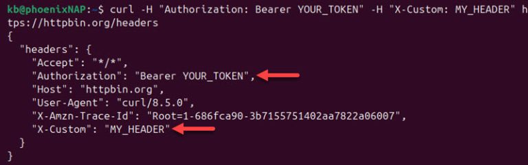 How to Show and Send HTTP Headers with cURL