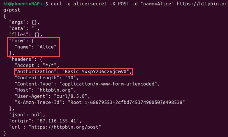 cURL POST Requests Guide | Knowledge Base by phoenixNAP