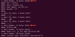 How to Show and Send HTTP Headers with cURL