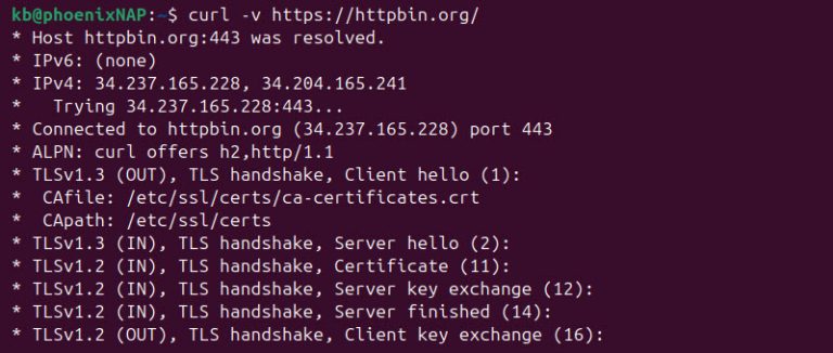 How to Show and Send HTTP Headers with cURL