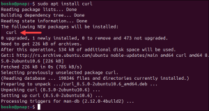 How to Send Cookies with cURL? | phoenixNAP