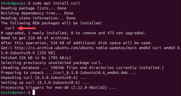 How to Send Cookies with cURL? | phoenixNAP