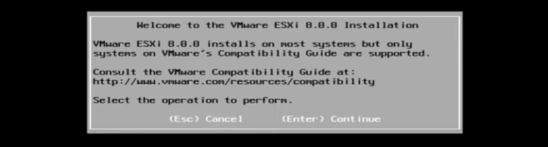 VMware ESXi: Installation and Setup