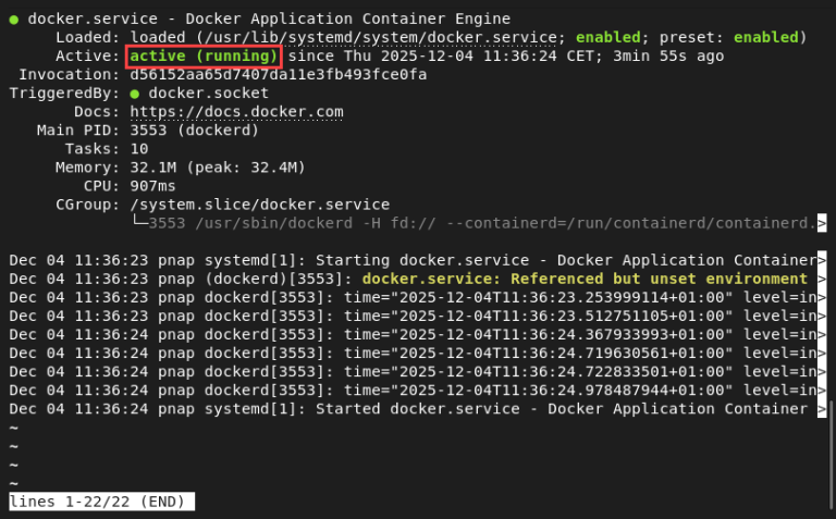 Docker Daemon Guide for Beginners