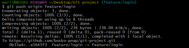 Git: "failed to push some refs to" Error