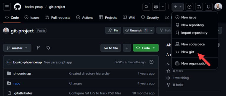 GitHub Gist: Definition, Usage, Best Practices